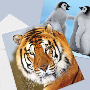 Camden Graphics - UK Greetings