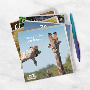 Creative Submissions - UK Greetings