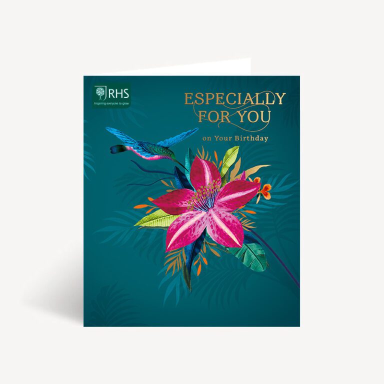 Brands - UK Greetings